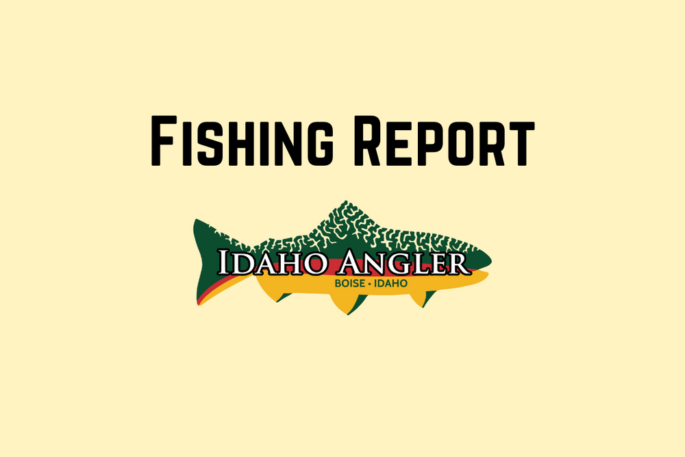 Idaho Angler Fishing Report - February 25, 2026